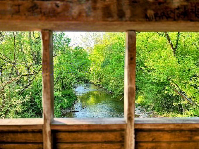 Nature frames the Little Pigeon River through the bridge's wooden windows. Who needs Instagram when you've got built-in viewfinders?