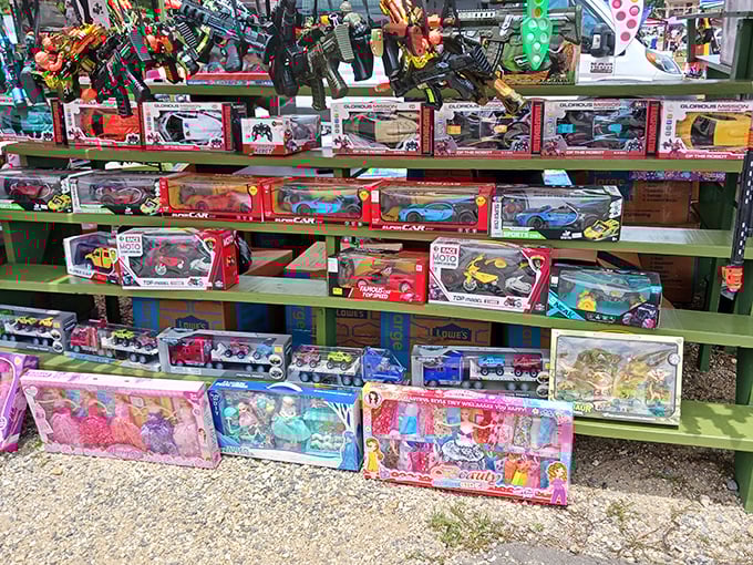 Toy nirvana arranged with military precision. Every child's dream and every parent's wallet nightmare displayed in technicolor temptation.