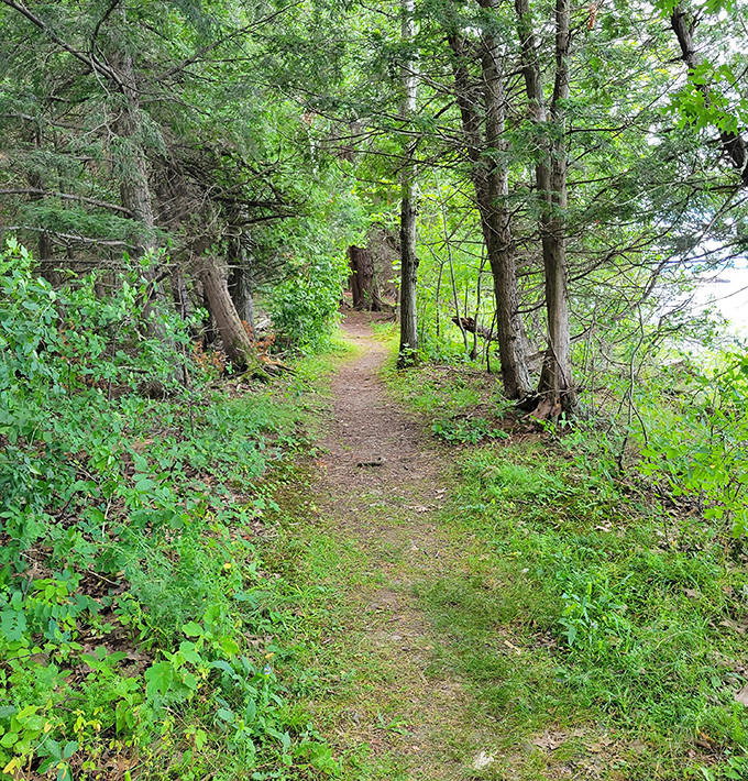 Forest trails wind through green tunnels where the only traffic jam involves deciding which path to explore.