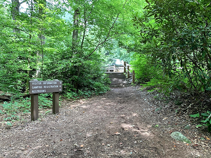 This unassuming trail entrance is the doorway between ordinary life and extraordinary wilderness adventures waiting just beyond.