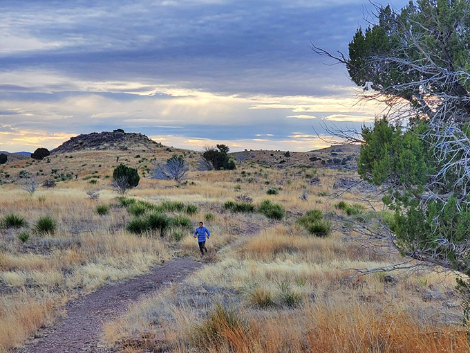 When your hiking trail looks like this, suddenly those extra miles don't seem so bad. Just one more ridge to see what's beyond!
