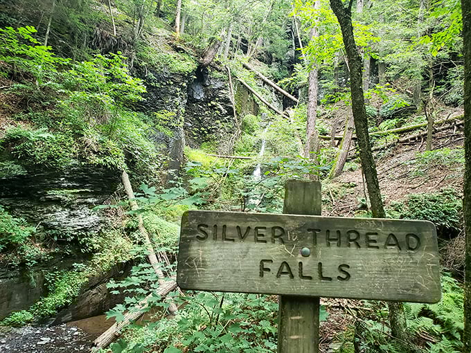 Clear trail markers ensure even directionally challenged visitors can find their way to waterfall paradise without drama.