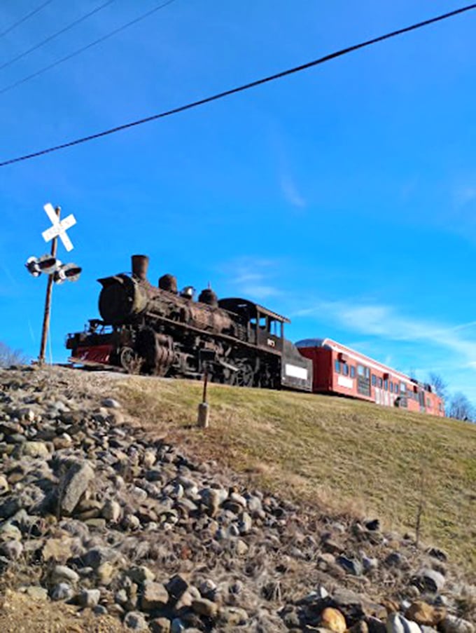 From this distance, you can appreciate how the attraction fits into the broader landscape. The train tracks add another layer to this multifaceted destination.