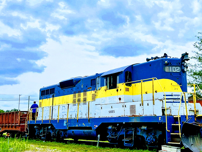 The bold blue and yellow color scheme ensures this locomotive won't be mistaken for subtle, which seems appropriate for something this impressively massive.