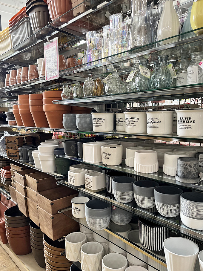 Pottery and planters that would make your houseplants feel like they've been upgraded to first class accommodations.