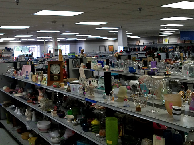 Knickknacks, collectibles, and everyday treasures create a museum-like display of American domestic life across the decades.