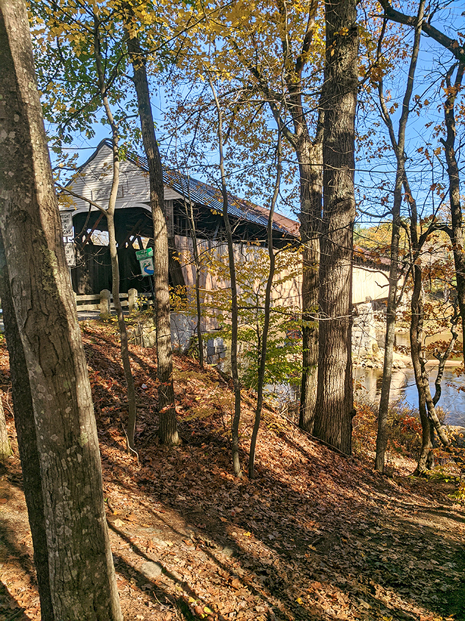 Autumn's golden touch transforms the bridge into a magical passage, its wooden tunnel aglow with evening lights.