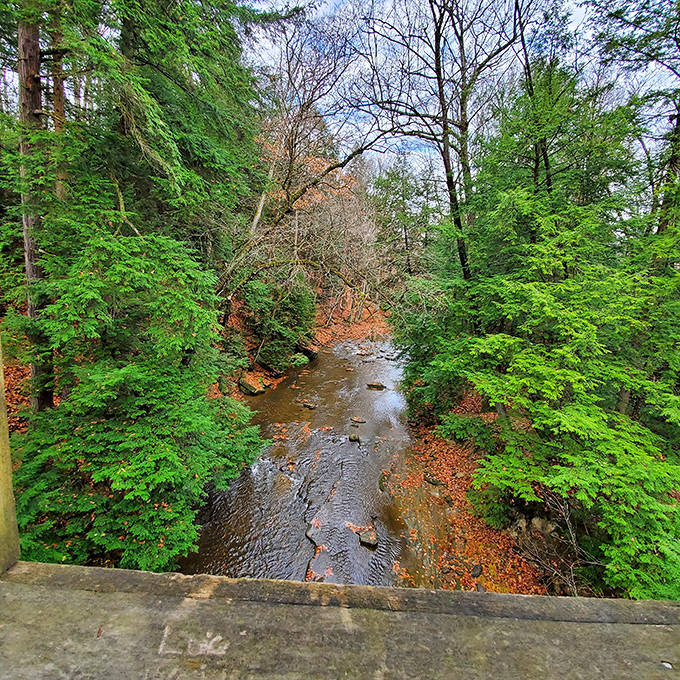 Phelps Creek keeps flowing below, unbothered by the modern world rushing past just beyond these peaceful woods.