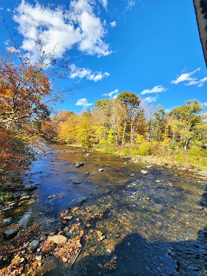 Autumn's golden touch turns the creek into a mirror for fall foliage, creating a double feature of seasonal splendor.