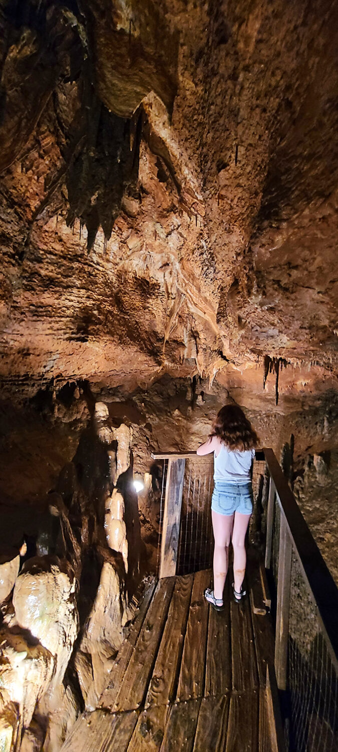 The viewing platform offers front-row seats to nature's greatest show&mdash;no tickets required, just a sense of wonder.