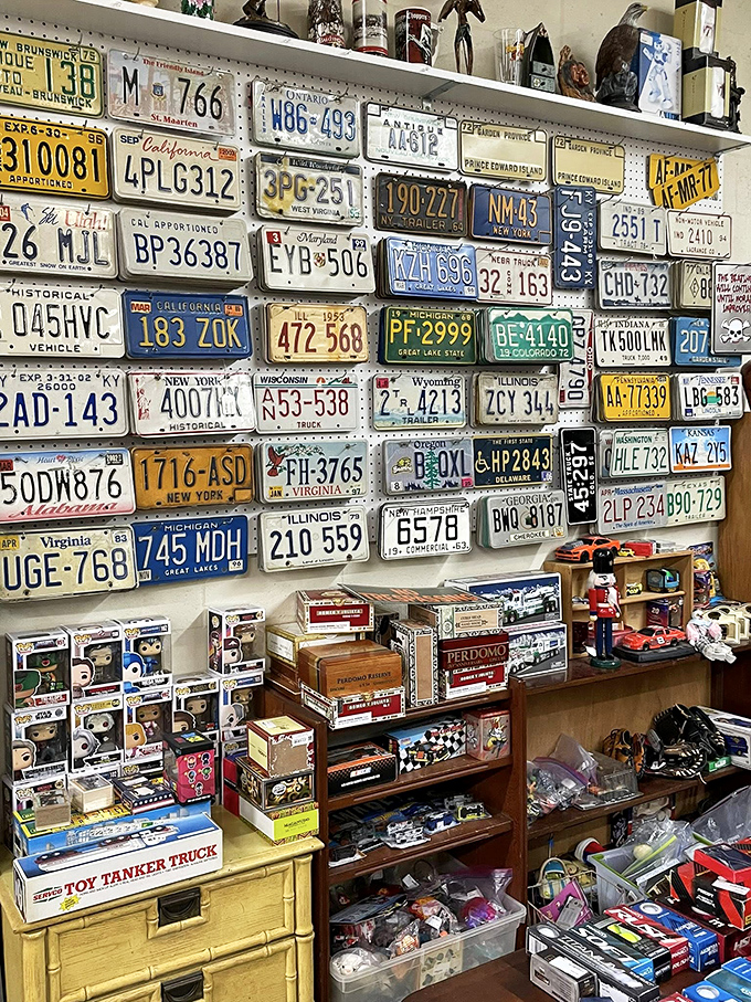 License plate tapestry telling America's road trip story one state at a time. Each plate represents someone's journey somewhere.