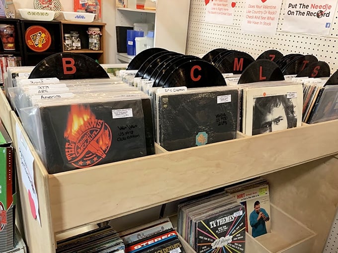Vinyl records organized by someone who truly understands music lovers. Flip through these albums and discover the soundtrack of generations past. 
