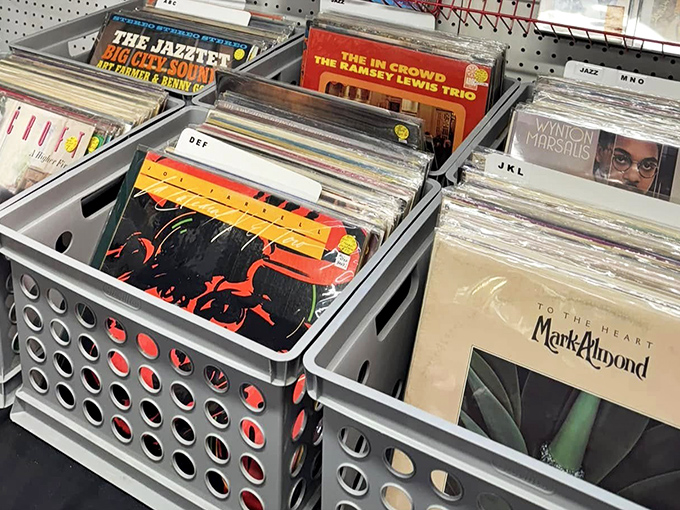 Vinyl paradise organized by genre. Each record sleeve a miniature art gallery, each groove holding sounds that digital can never quite capture.