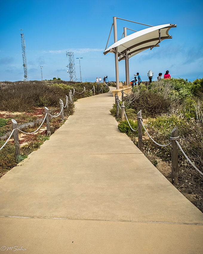 Winding paths through coastal sage invite exploration, with shade structures that look suspiciously like sails&mdash;a nautical nod that's not exactly subtle.