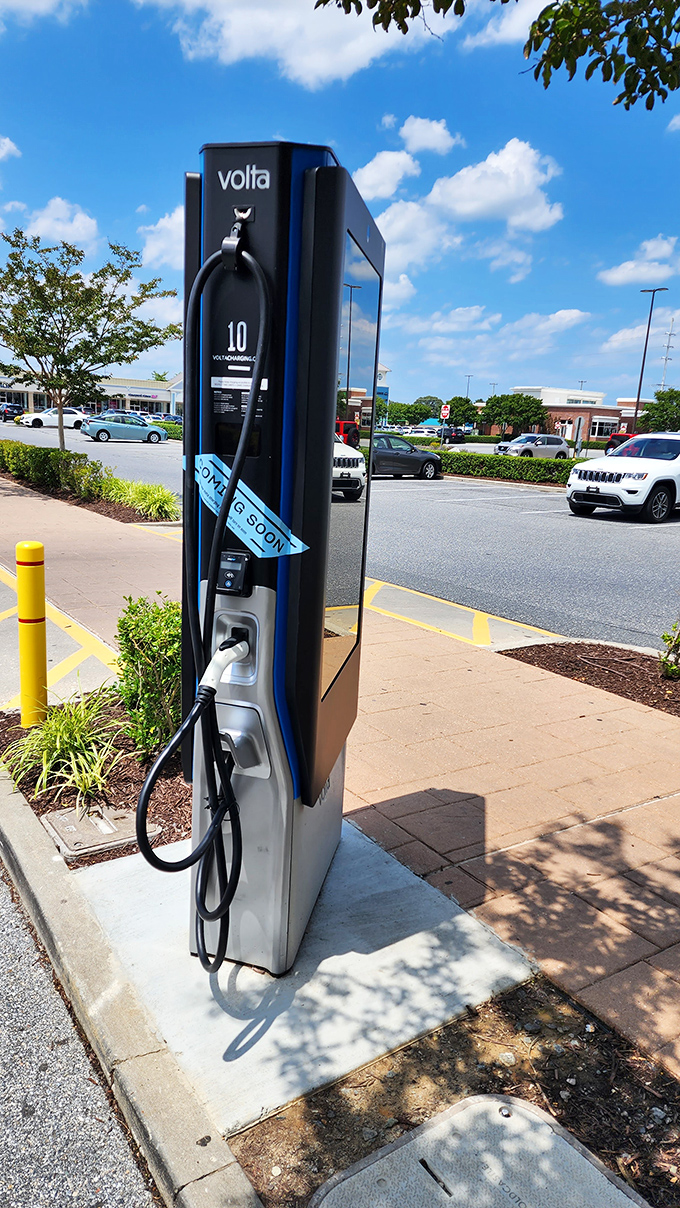 Shopping of the future! Electric vehicle charging stations ensure your car gets refreshed while you deplete your bank account in the nicest way possible.
