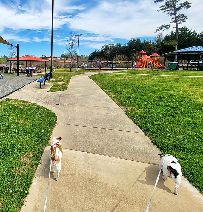 Even the four-legged residents enjoy Gadsden's park system, where paved paths mean no muddy paws and happy tails for all.
