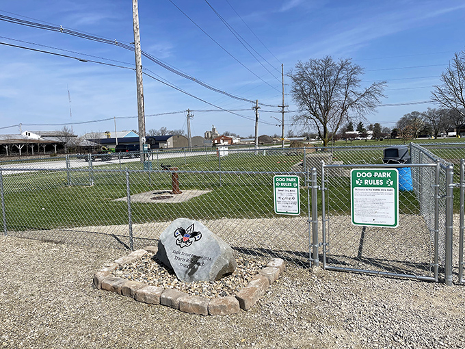 The dog park welcomes four-legged retirees too &ndash; where pups make friends faster than their owners at the senior center.