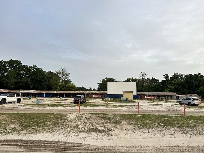 A glimpse of movie paradise: the massive white screen awaits dusk's embrace while cars find their perfect viewing spots on the sandy Florida terrain.