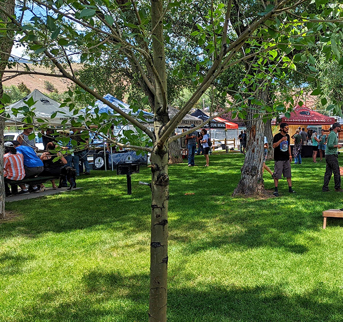 The Wild West Brewfest brings community together over food, drinks, and the kind of genuine fun that doesn't require a hashtag.