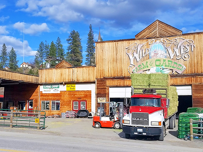 Wild West Farm & Garden supplies everything from tractor parts to bird feeders &ndash; the Amazon Prime of rural living, just with more personal service.