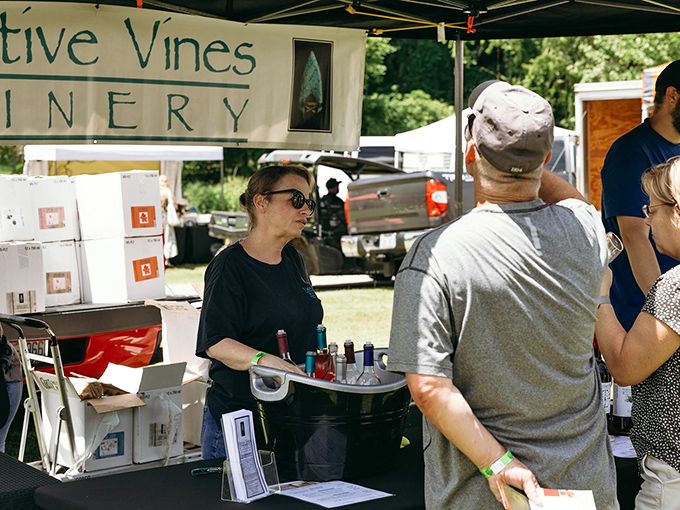 Wine tasting without pretension. The Yadkin Valley wineries bring Napa quality with North Carolina charm and prices that won't make you wince.
