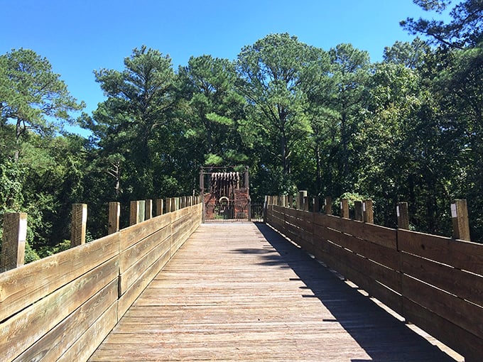 This wooden boardwalk isn't just a path&mdash;it's an invitation to adventure, leading you deeper into Maryland's natural splendor with every plank.