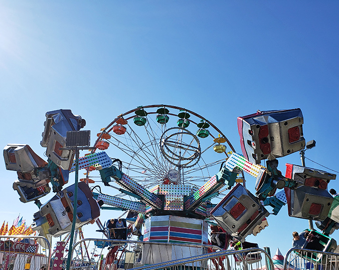 The Ferris wheel punctuates the South Carolina sky, reminding us that sometimes the best flea markets come with a side of carnival magic.