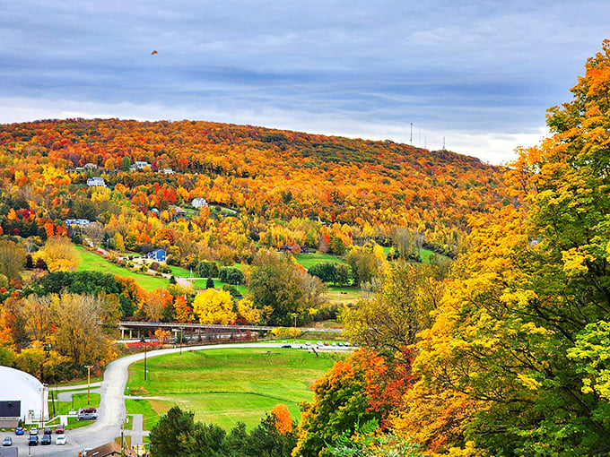 Vermont's fall foliage isn't just colorful&mdash;it's nature showing off like a peacock who just discovered Instagram filters.