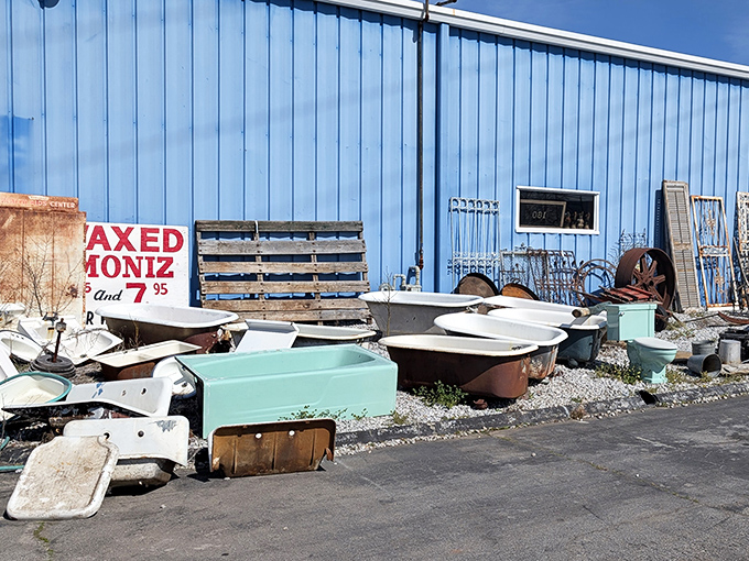 Bathroom history lined up like ceramic soldiers. These vintage tubs witnessed more rubber duckies and bubble baths than any modern jacuzzi.