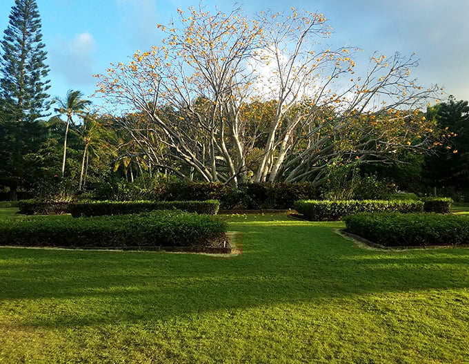 The park's diverse ecosystem creates a patchwork quilt of forests and fields&mdash;Hawaii's natural playground.