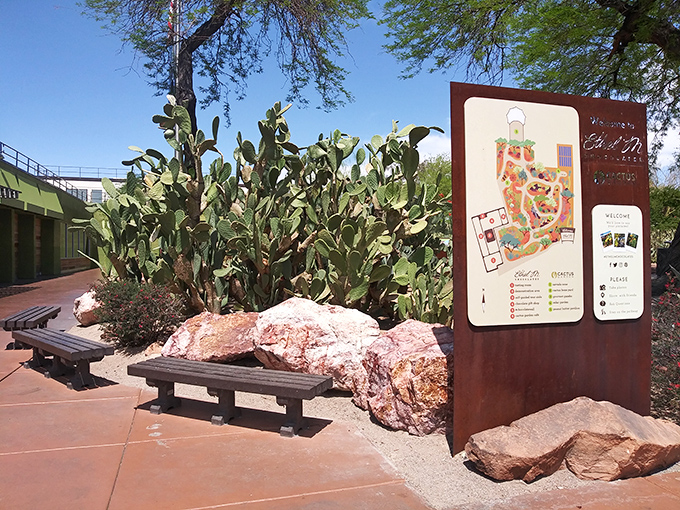 The entrance welcomes visitors with strategically placed benches and signage. Desert hospitality at its most thoughtfully designed.