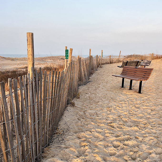 A weathered bench offering front-row seats to nature's greatest show. No tickets required, just perfect timing.
