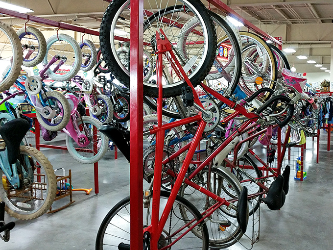Bicycles hanging like modern art installations, each one ready to pedal into someone's new adventure story.