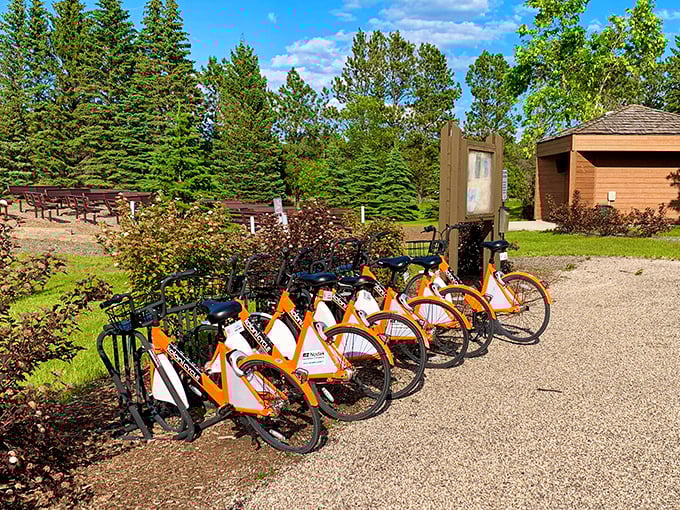 These bright orange rental bikes stand ready for action&mdash;like eager golden retrievers waiting for someone to throw the ball.