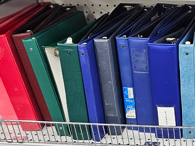 Office supply enthusiasts (yes, we exist) will appreciate this rainbow of binders&mdash;perfect for organizing tax receipts or starting that novel.
