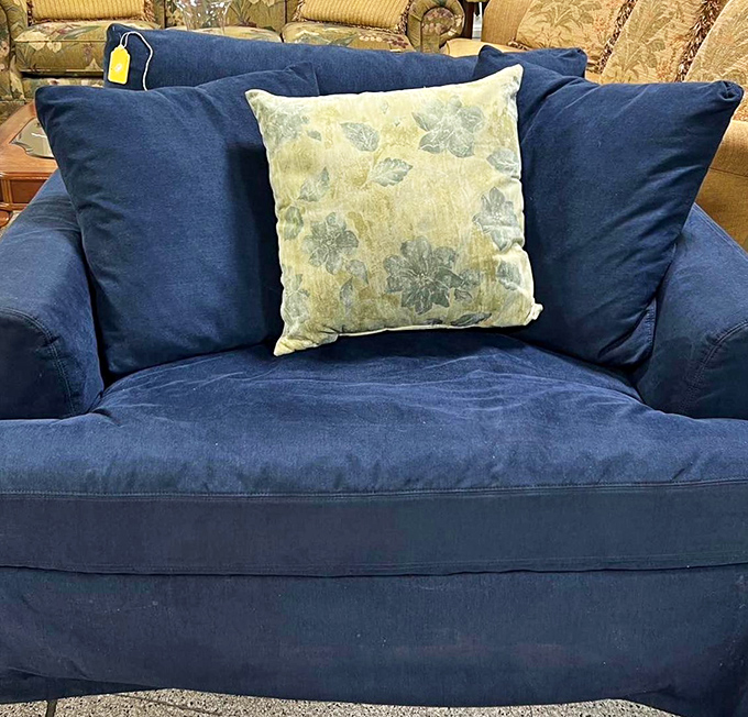This plush blue armchair isn't just furniture&mdash;it's your future reading nook, afternoon nap headquarters, and pet's new favorite forbidden territory.