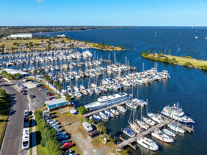 The marina bustles with vessels of all sizes, from weekend warriors to serious anglers chasing that legendary catch.