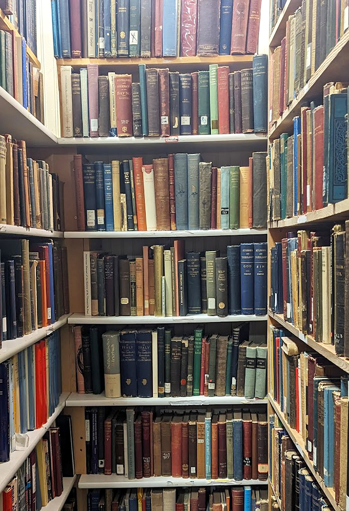 Floor-to-ceiling literary treasures where the scent of old paper and binding glue creates the most intoxicating perfume known to bibliophiles.