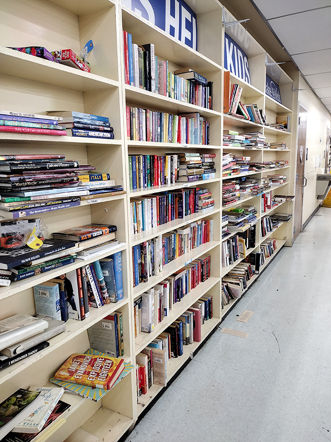 The book section rivals small libraries with its impressive selection. Literary adventures await at prices that make bookstores blush.