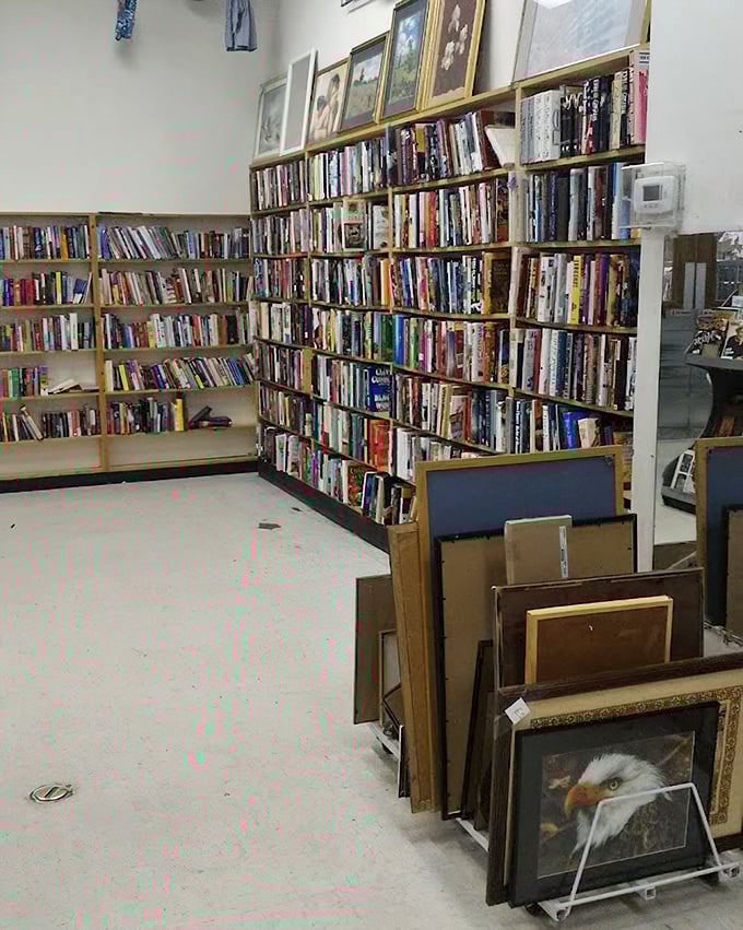 Floor-to-ceiling bookshelves create a mini-library within the store. From bestsellers to obscure titles, literary treasures await at a fraction of their original cost.