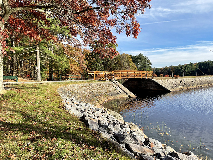 This wooden bridge spans more than just water &ndash; it connects visitors to parts of the park that feel miles away from civilization.