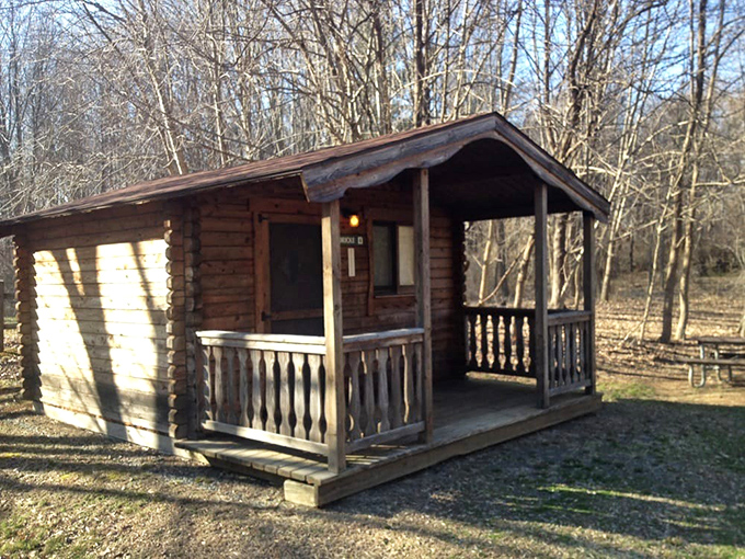 Rustic cabin comfort awaits weary hikers. This woodland retreat offers the perfect balance of shelter and connection to the surrounding forest.