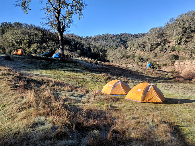 Tent city under ancient oaks. These campers know the secret to five-star accommodations is all about location, location, location.