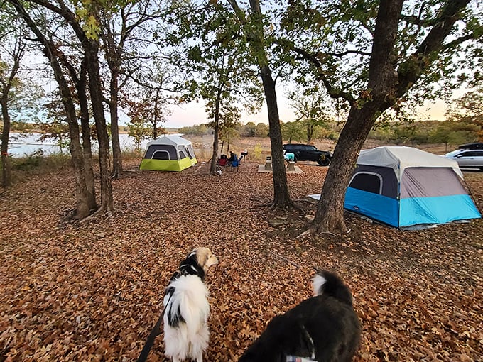 Canvas homes with million-dollar views. Fall camping at Keystone means leaf-carpeted grounds and lakeside panoramas that no hotel can match.