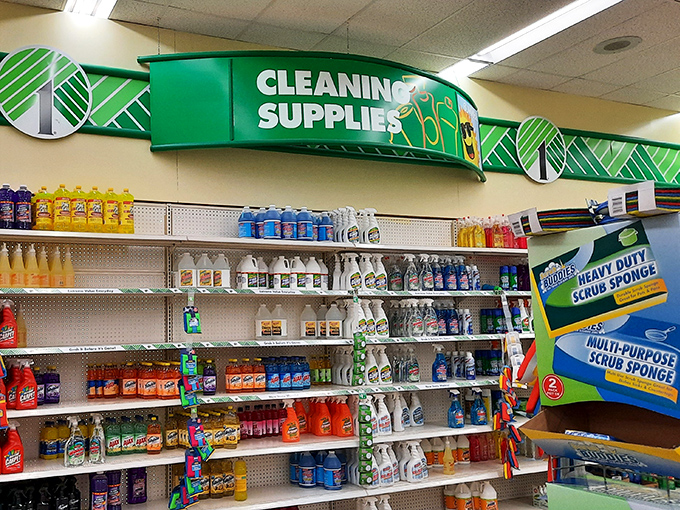 The cleaning supply aisle: where domestic ambitions meet practical solutions under the watchful eye of Mr. Clean's competitors.