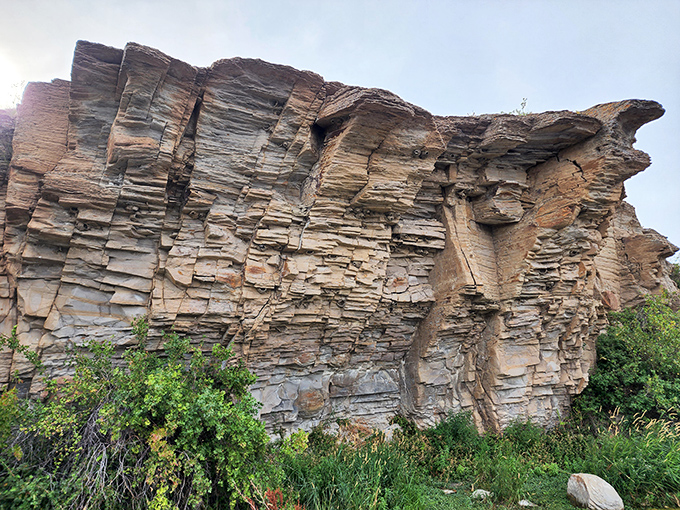 Nature's library of geological history, with each layer telling a different chapter. These sedimentary cliffs reveal Montana's ancient past.
