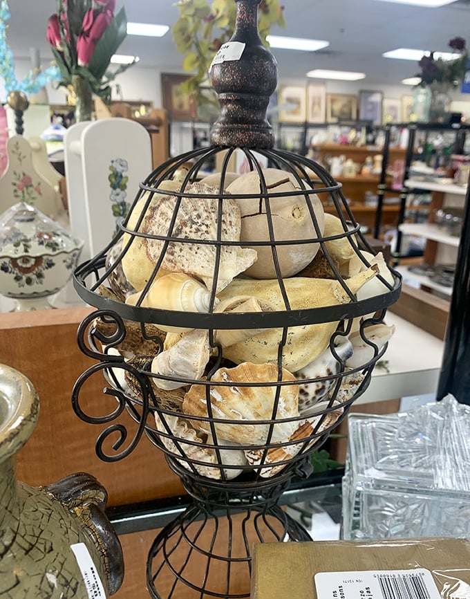 Seashells in a cage? It's like a tiny ocean museum that doubles as sophisticated coffee table decor.