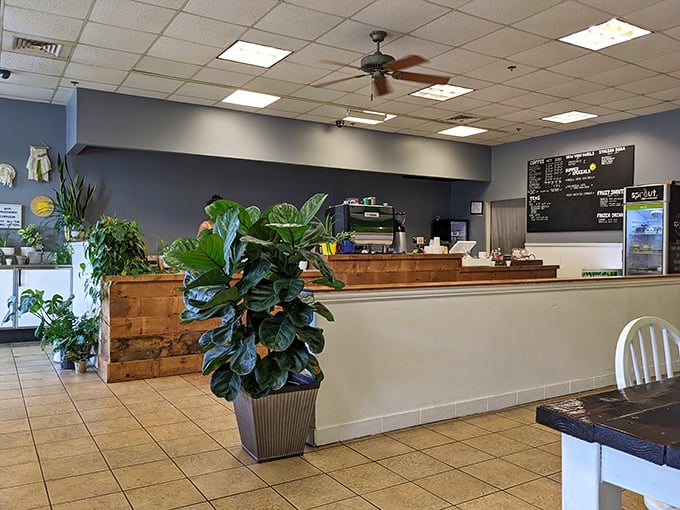 A café oasis amid shopping madness, where plants and caffeine combine to restore your strength for round two of bargain hunting.