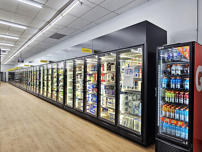 The refrigerated section stretches like a cold horizon of possibilities—from essentials to treats, all illuminated in that distinctive cooler glow.