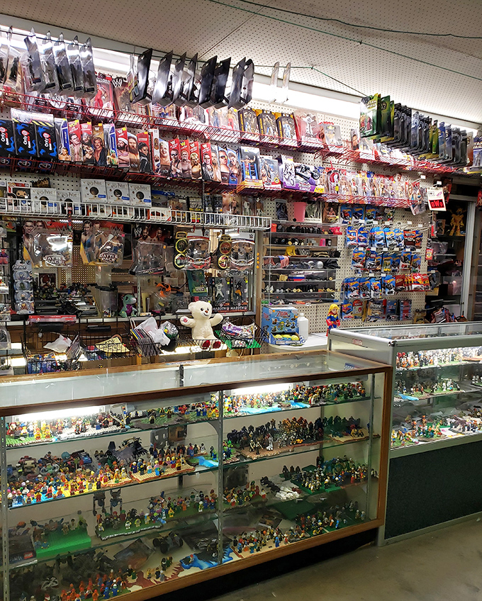 Toy collector paradise where childhood memories come with price tags. Those little plastic figures might just fund your retirement someday.